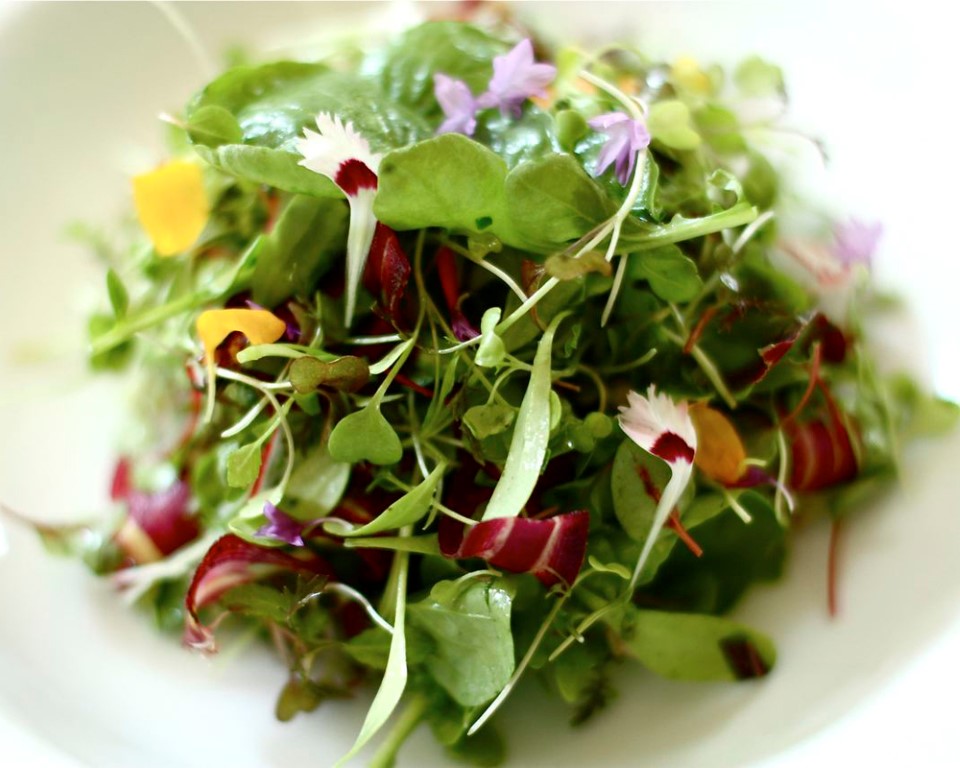 Manfaat Selada Microgreens Untuk Diet - De Grunteman